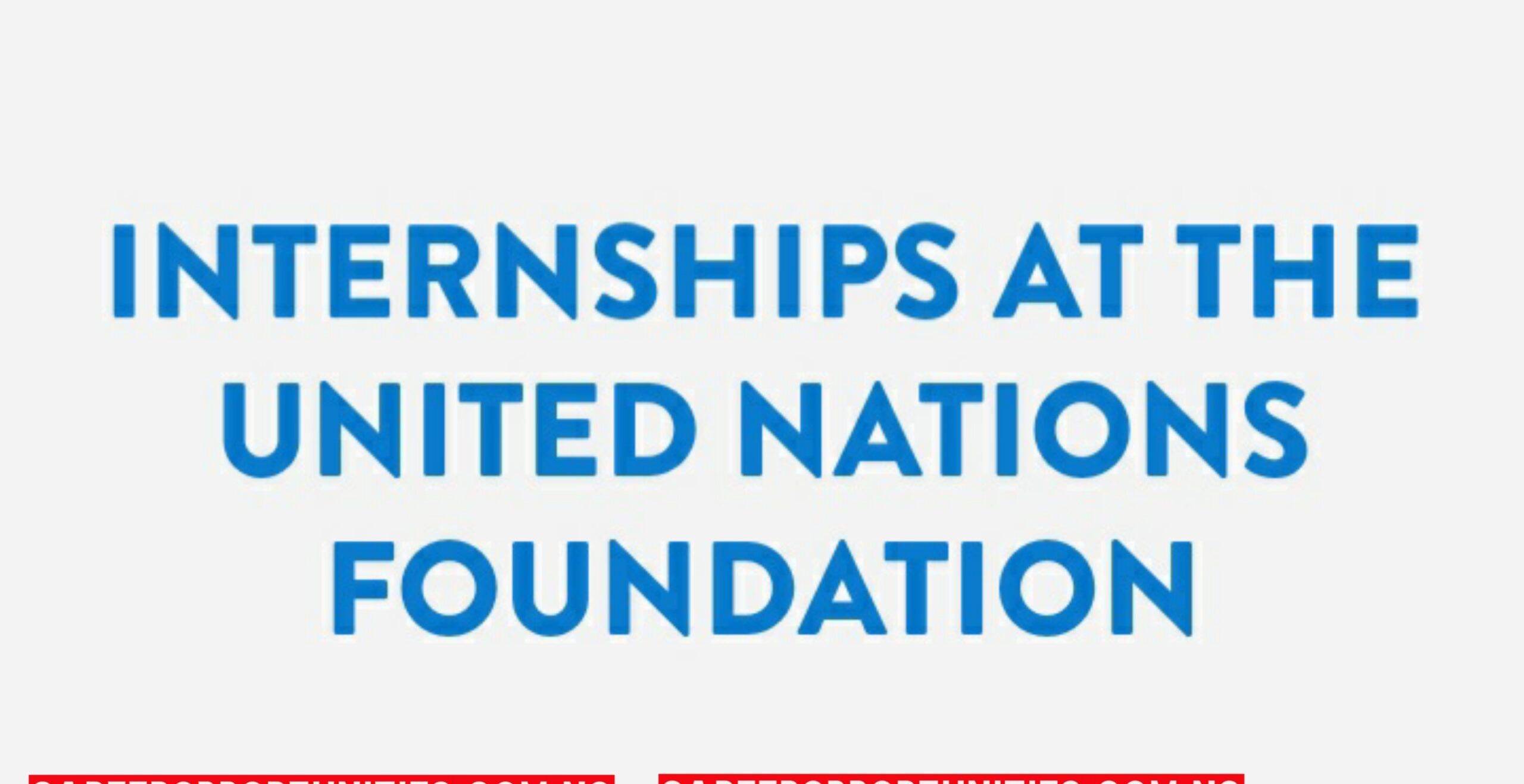 UNDP graduate job programme - CAREER OPPORTUNITIES