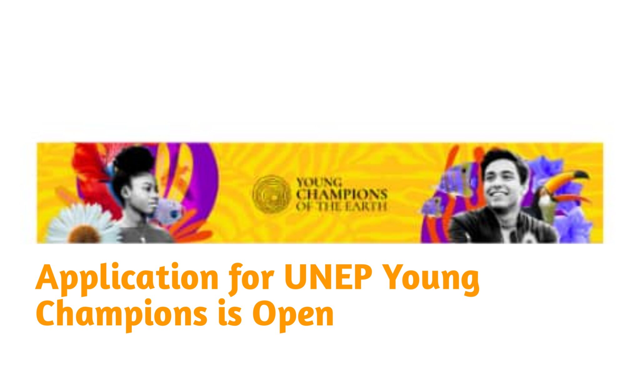 UNEP Young Champions Program (20,000US Dollars Funding)