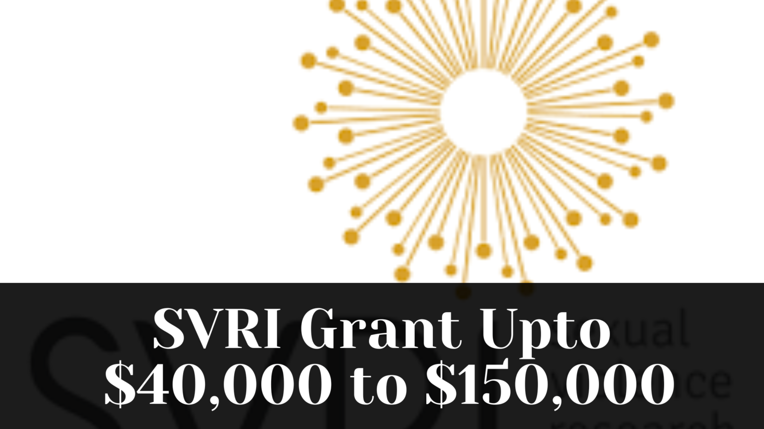 Sexual Violence Research Initiative (SVRI) Grant 2025| Upto ($40,000 To ...