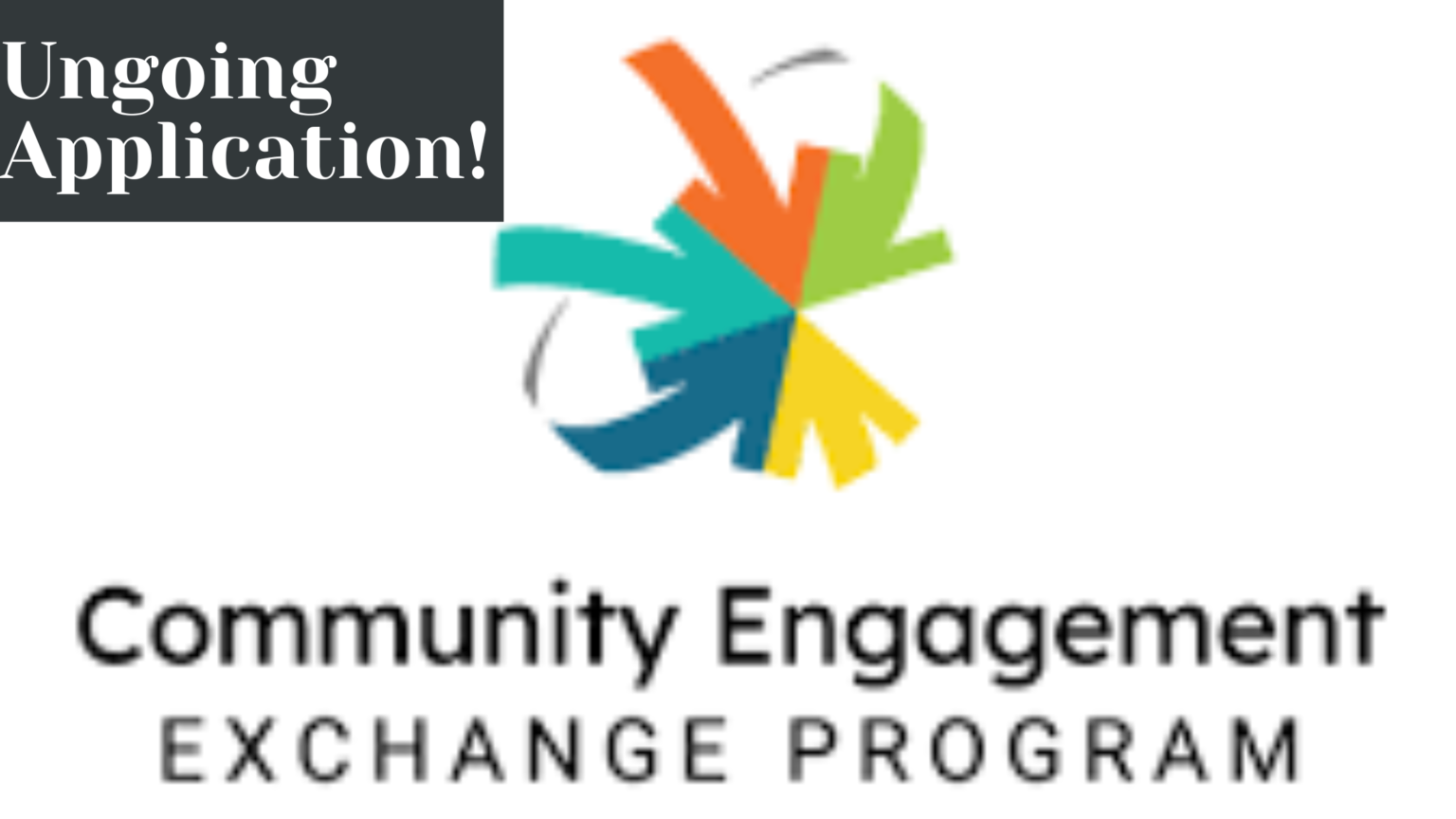 IREX Community Engagement Exchange Program (CEE) Application 2025 ...