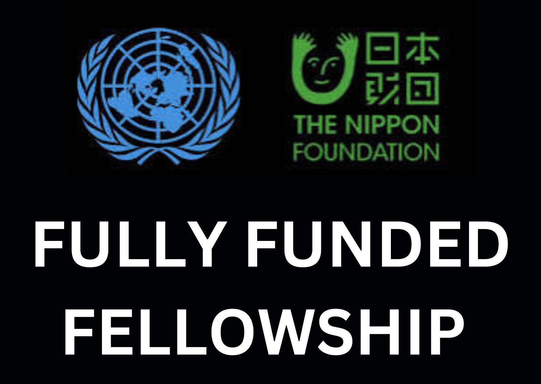 United Nations Nippon Foundation Fellowship 2025 (Fully Funded): Apply ...