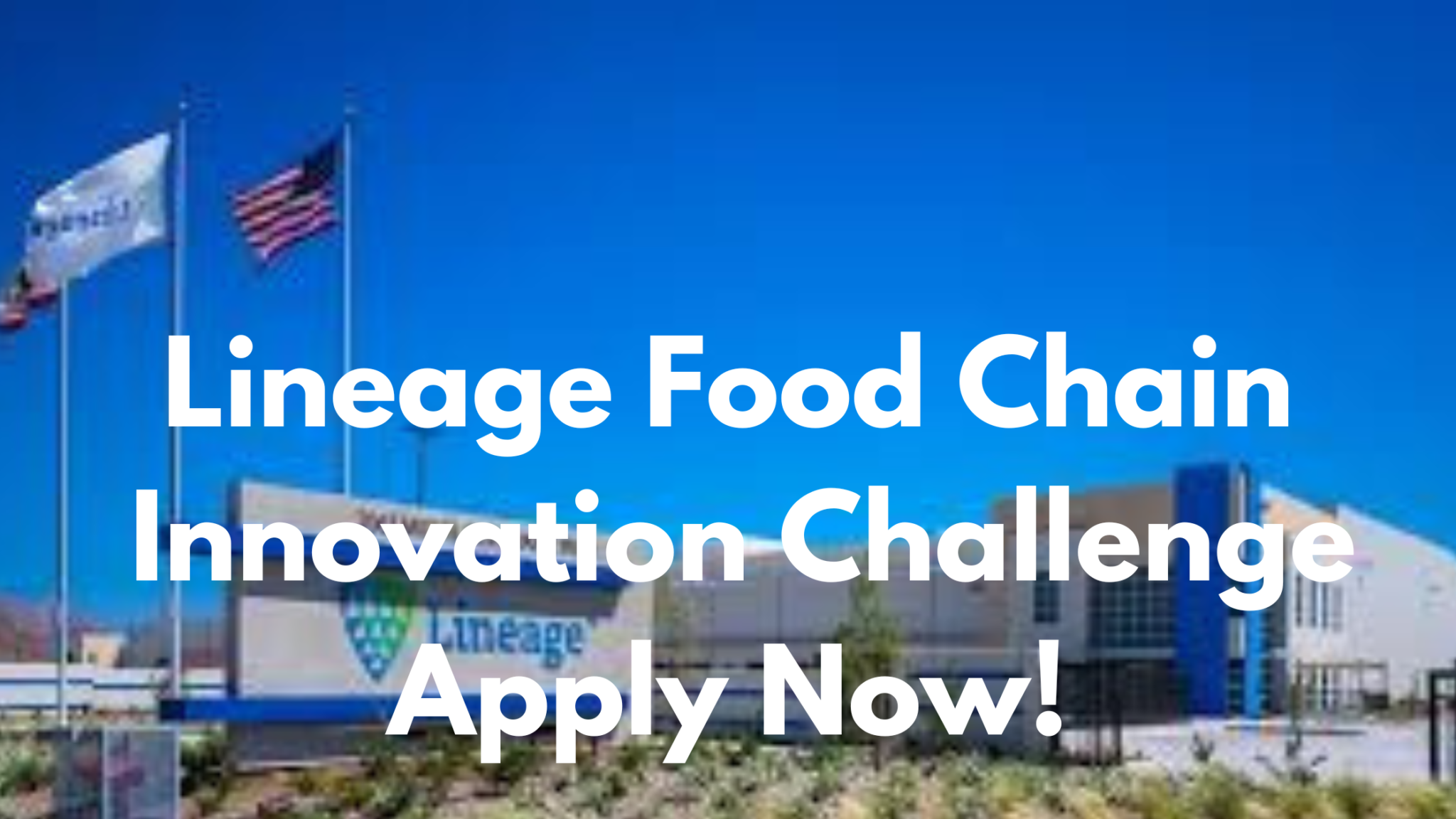 Lineage Food Chain Innovation Challenge 2024| Funding For Companies ...