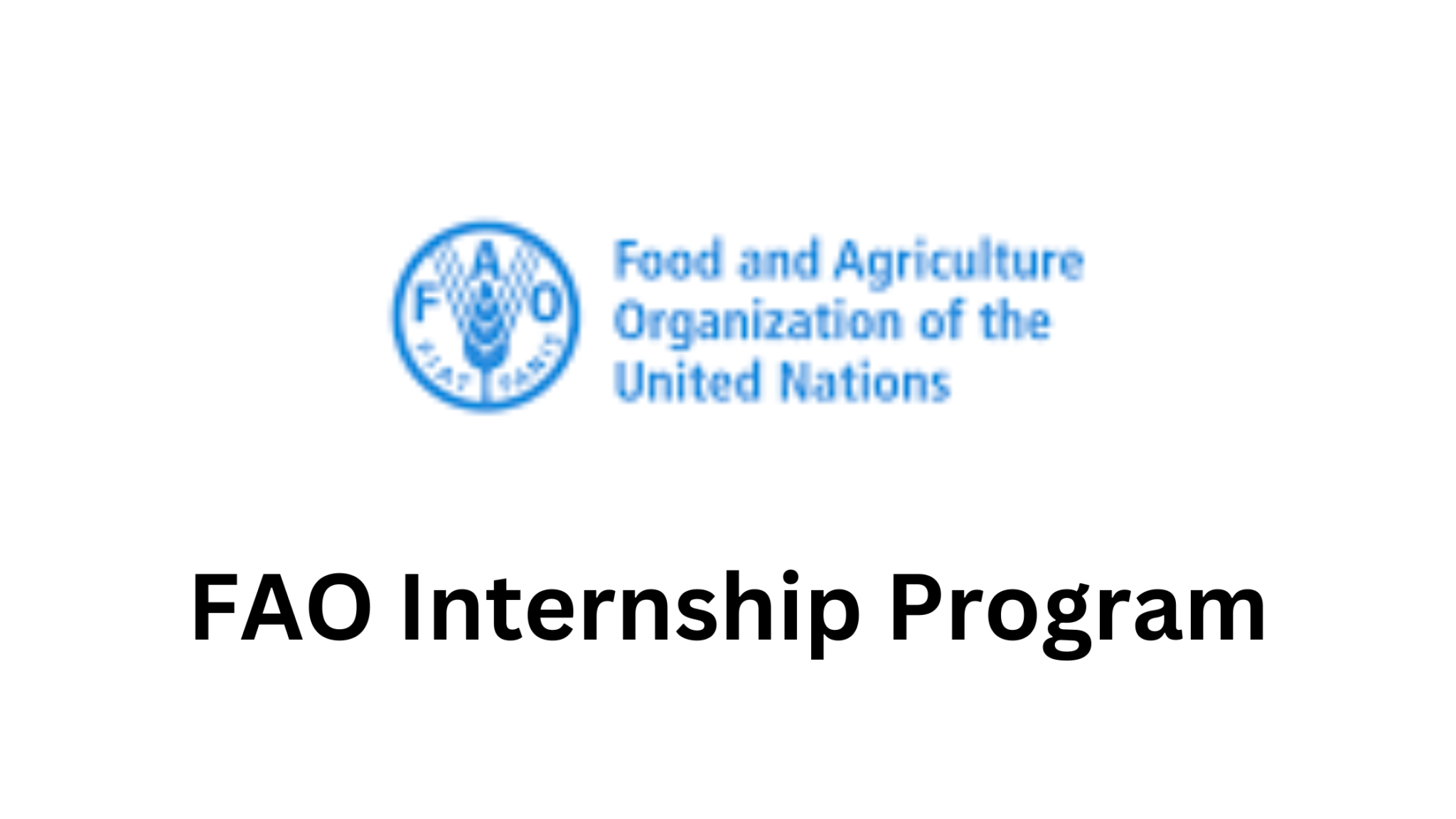 Fully Funded FAO Internship Program 2025| Apply Now!