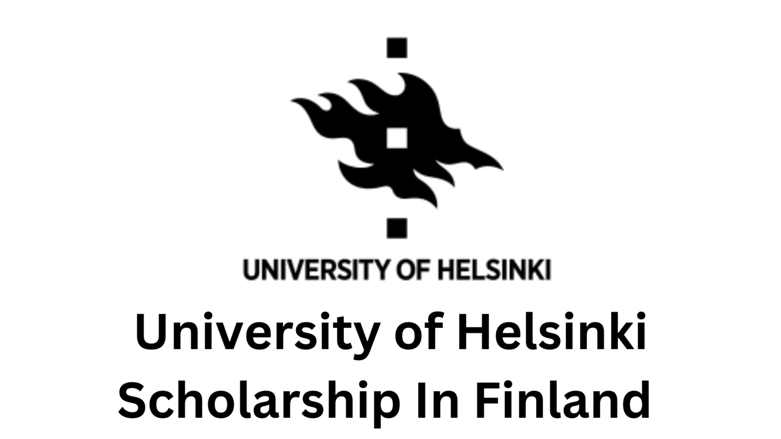 University Of Helsinki Scholarship 2025 In Finland (Fully Funded)