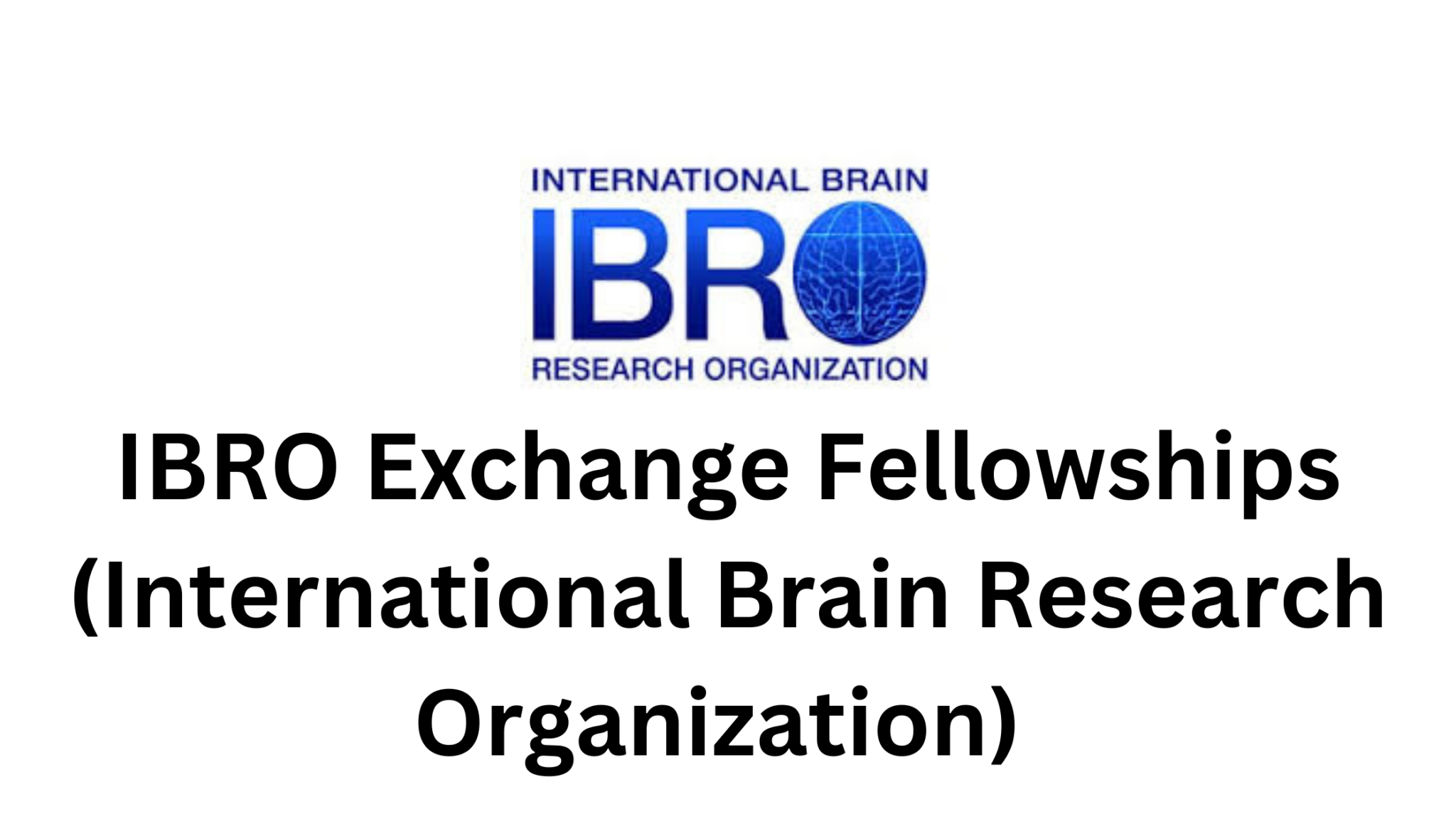 IBRO Exchange Fellowships 2025 (International Brain Research Organization)