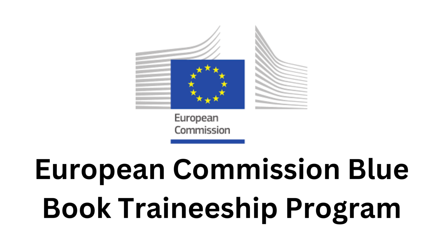 European Commission Blue Book Traineeship Program 2025