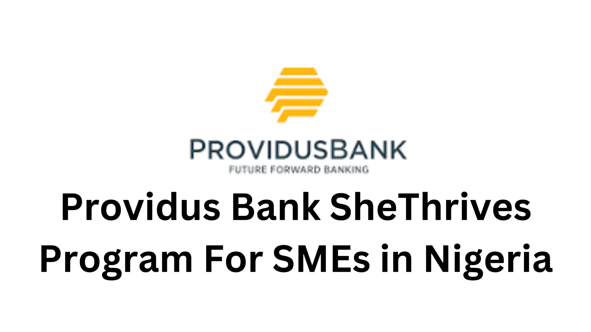 Call For Applications 2025: Providus Bank SheThrives Program For SMEs ...