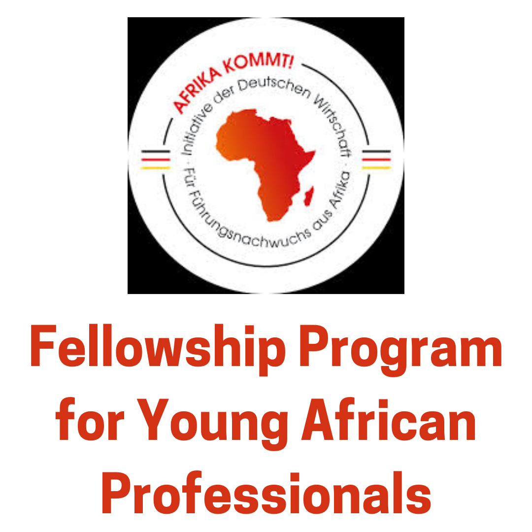AFRIKA KOMMT! Fellowship Program For Young African Professionals 2025 ...