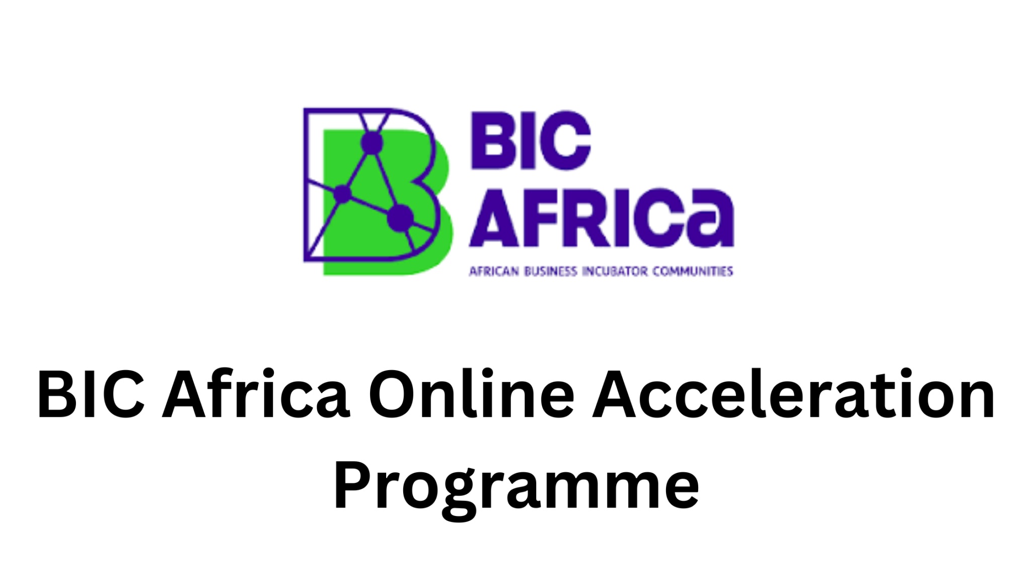 BIC Africa Online Acceleration Programme 2025 For Women Entrepreneurs