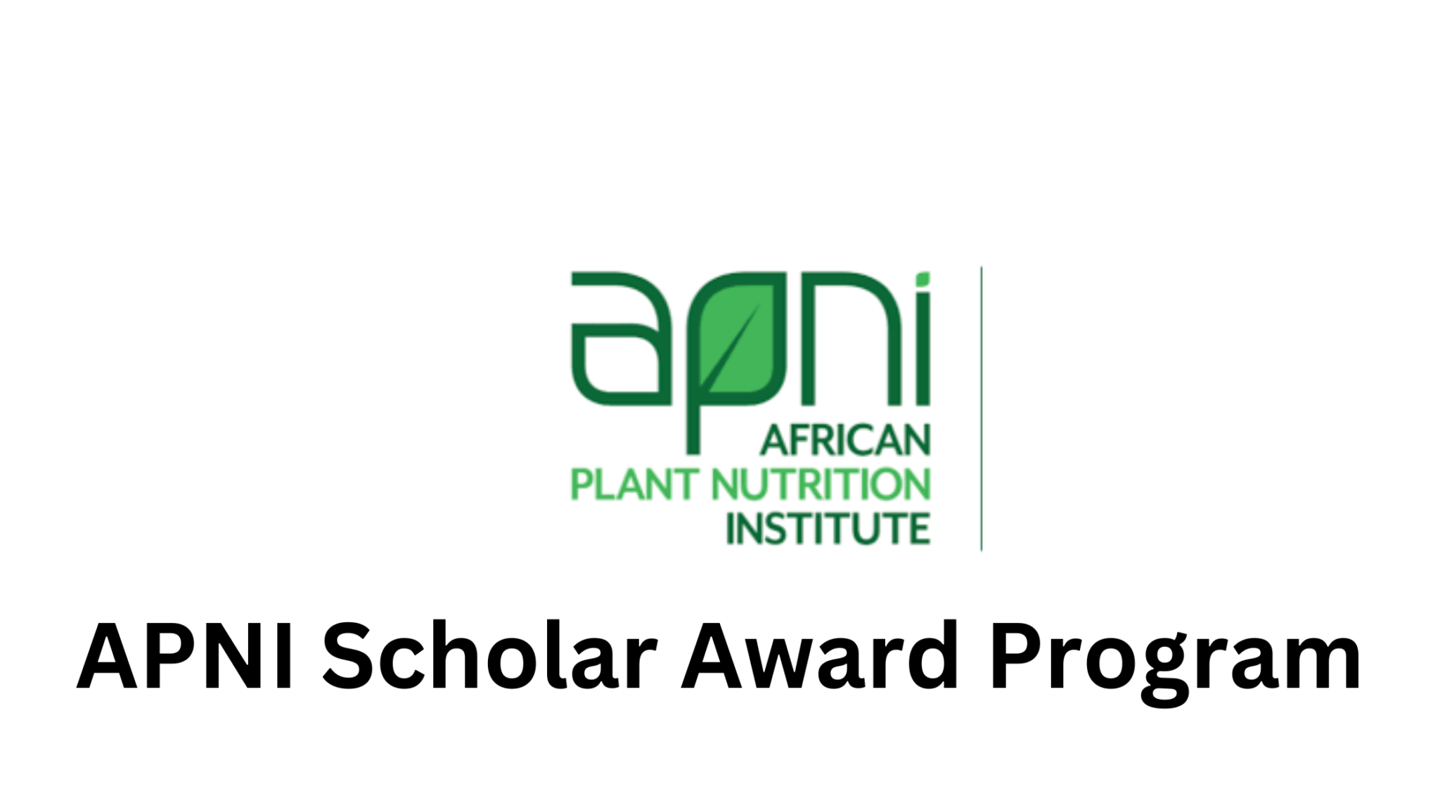 2025 APNI Scholar Award Program (African Plant Nutrition Institute)