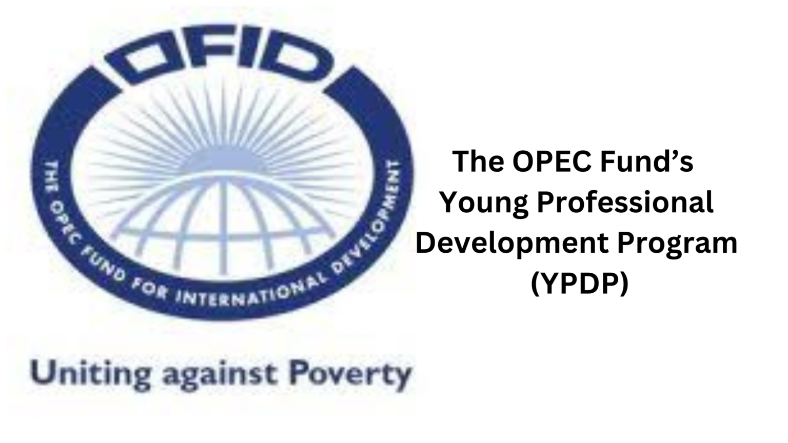 The OPEC Fund’s Young Professional Development Program (YPDP) 2025 For ...