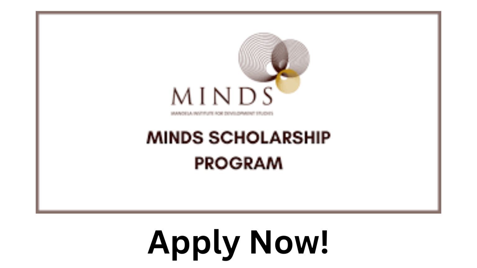 Master Mind Scholarship 2025 At University Of Hasselt, Belgium [Fully Funded]