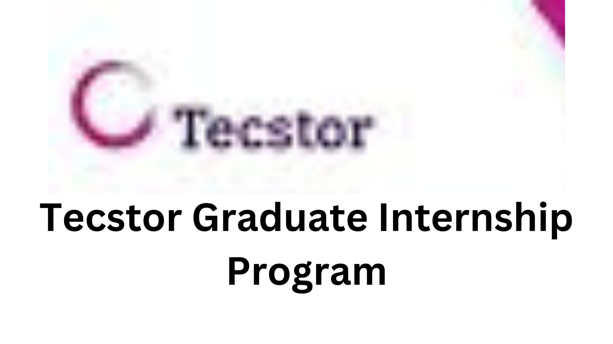 Exciting Opportunity: Tecstor Graduate Internship Program 2025
