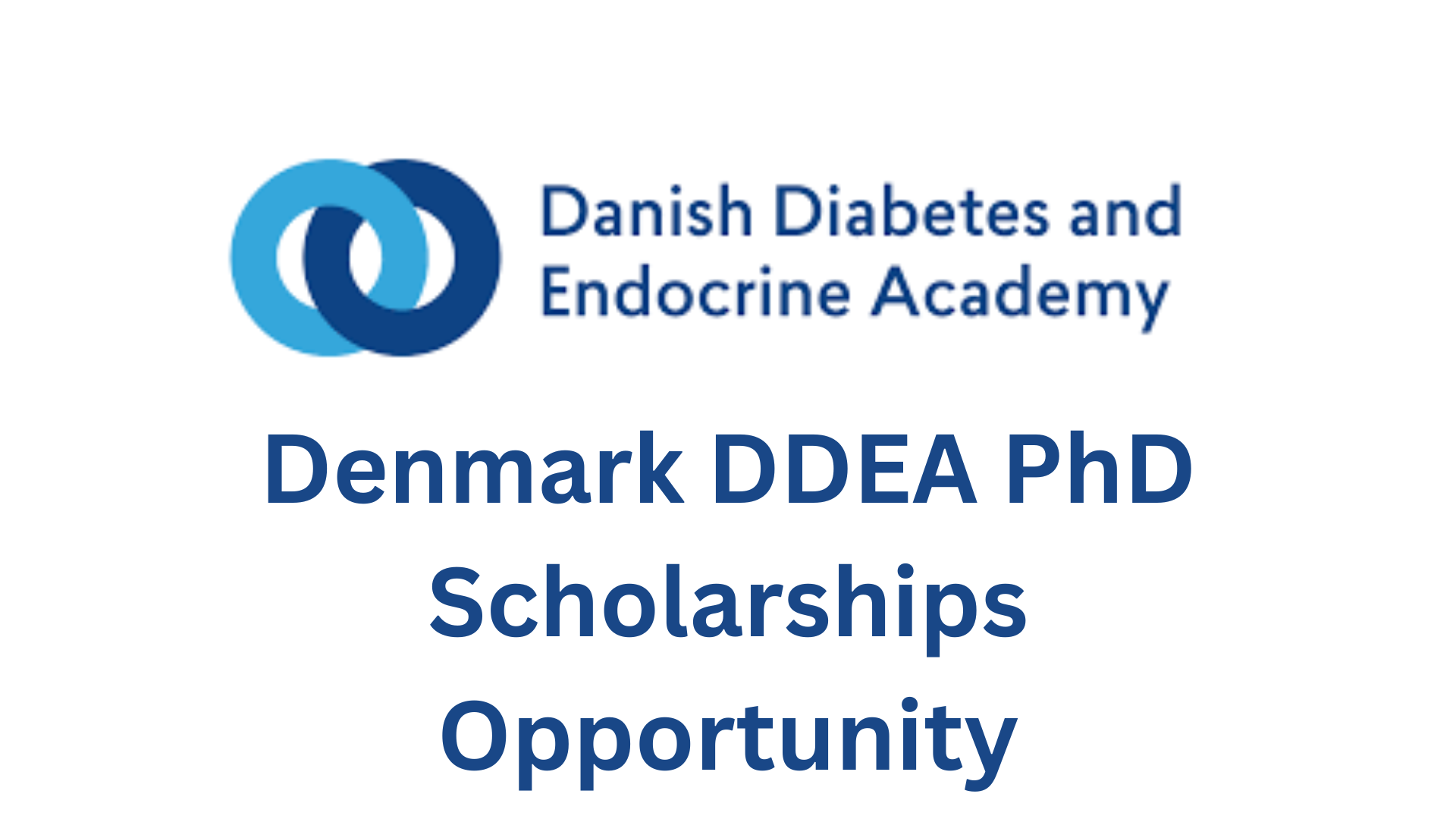 Denmark DDEA PhD Scholarships 2025 - Apply Now!