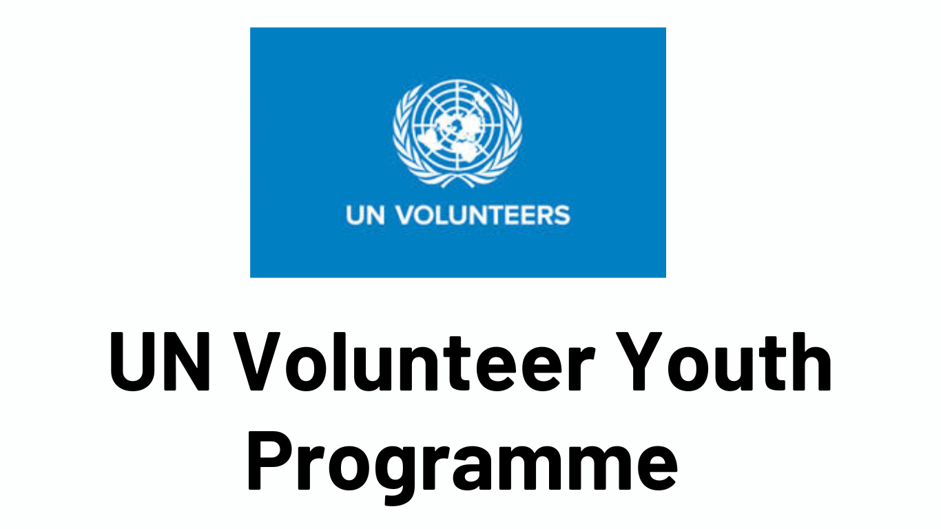 UN Volunteer Youth Programme: A Global Opportunity To Launch Your Career