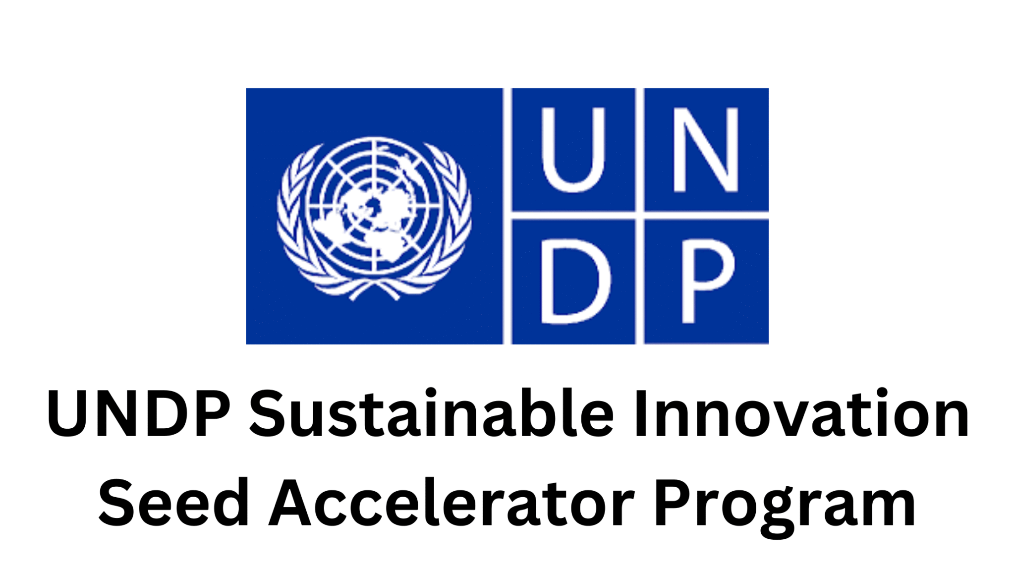 UNDP Sustainable Innovation Seed Accelerator Program 2025