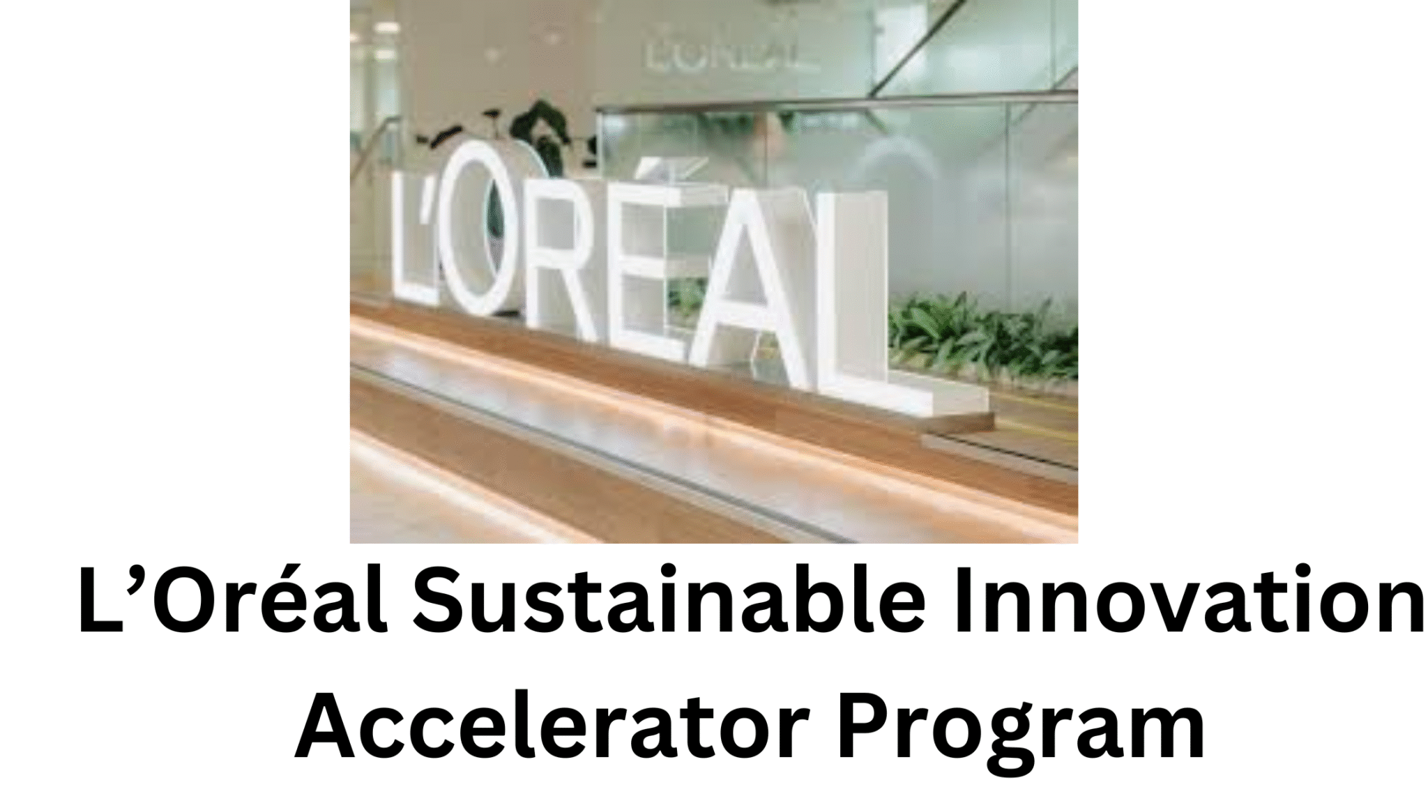 2025 L’Oréal Sustainable Innovation Accelerator Program