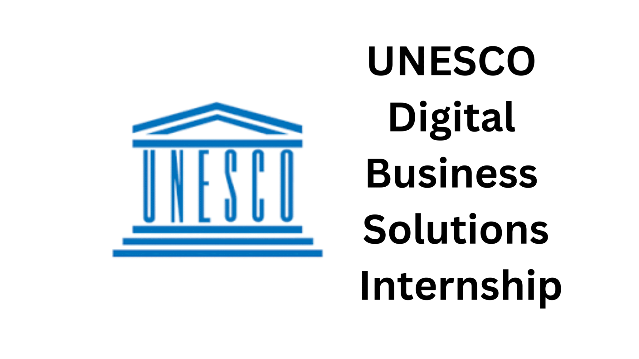 UNESCO Digital Business Solutions Internship 2025