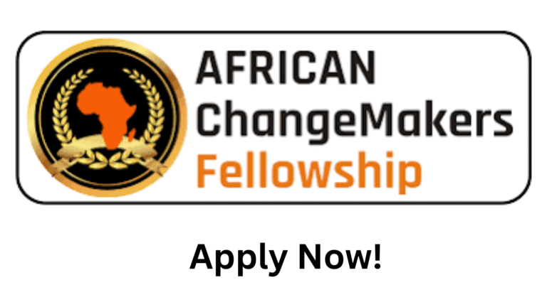 Apply Now: African Changemakers Fellowship Program 2025