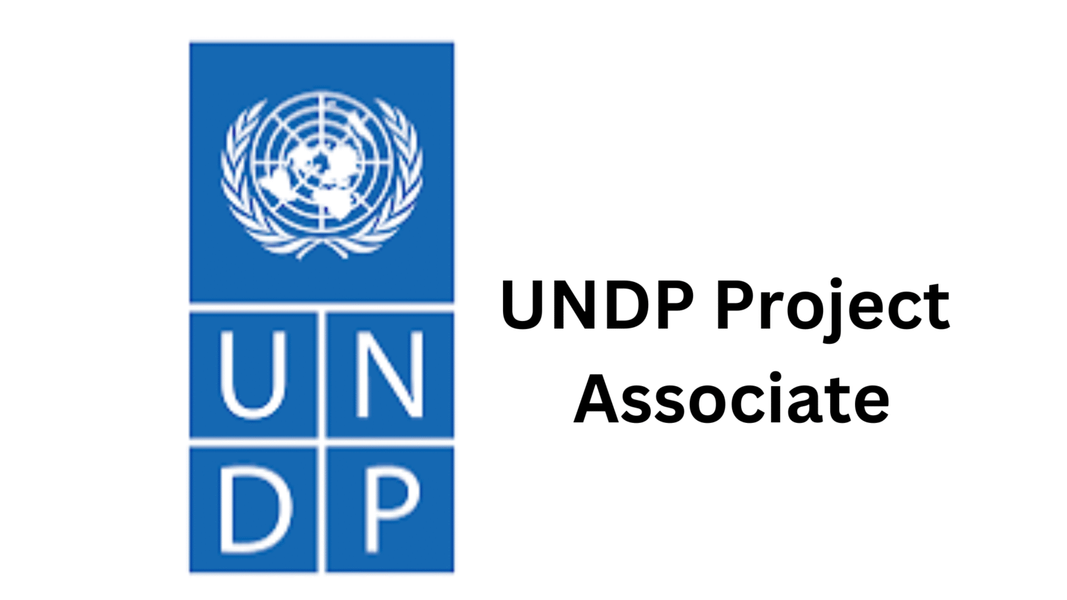 UNDP Project Associate 2025 – (Cuba): Job Opportunity