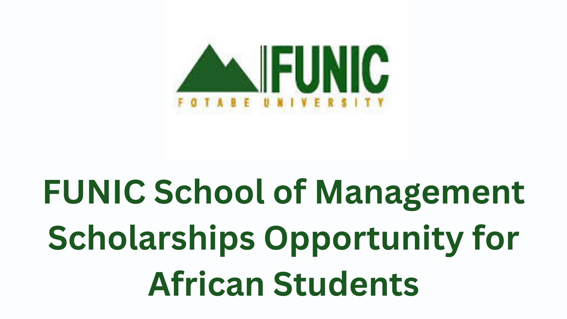 FUNIC School Of Management Scholarships 2025 Opportunity For African ...