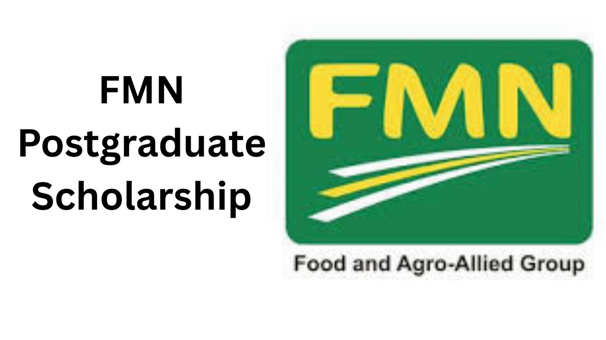 Apply For The FMN Postgraduate Scholarship 2025