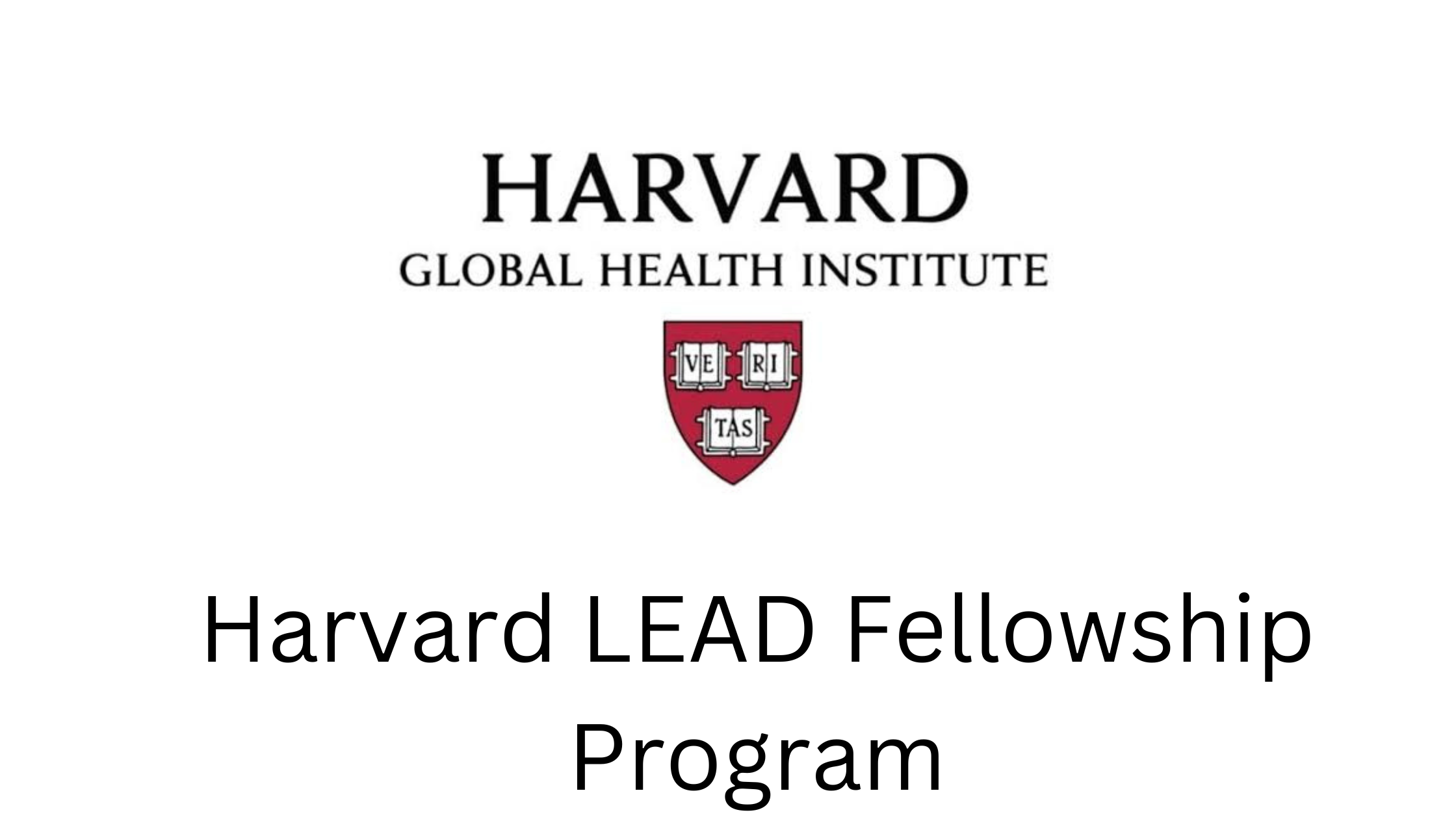 Harvard LEAD Fellowship Program 2026/27 | Learn, Engage, Advance, Disrupt