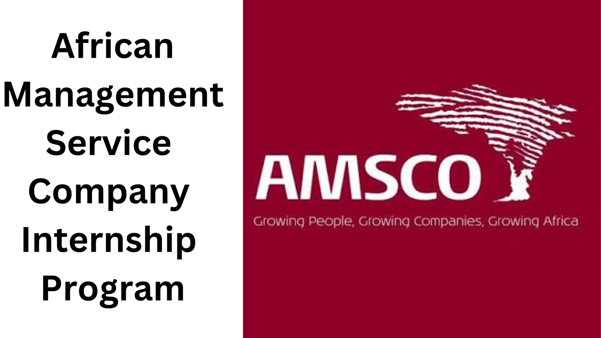 Amazing Offer: African Management Service Company Internship Program 2026